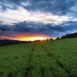 In Medias Res: Definition and Examples for Writers